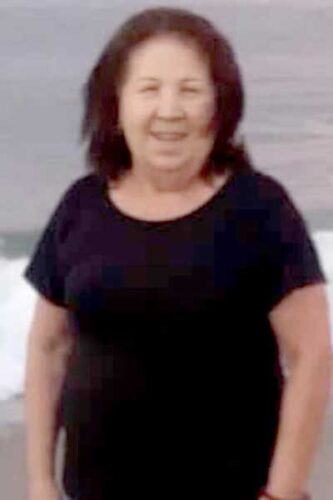 Carol Ann Peebles 1942-2025 | News, Sports, Jobs - The Vindicator